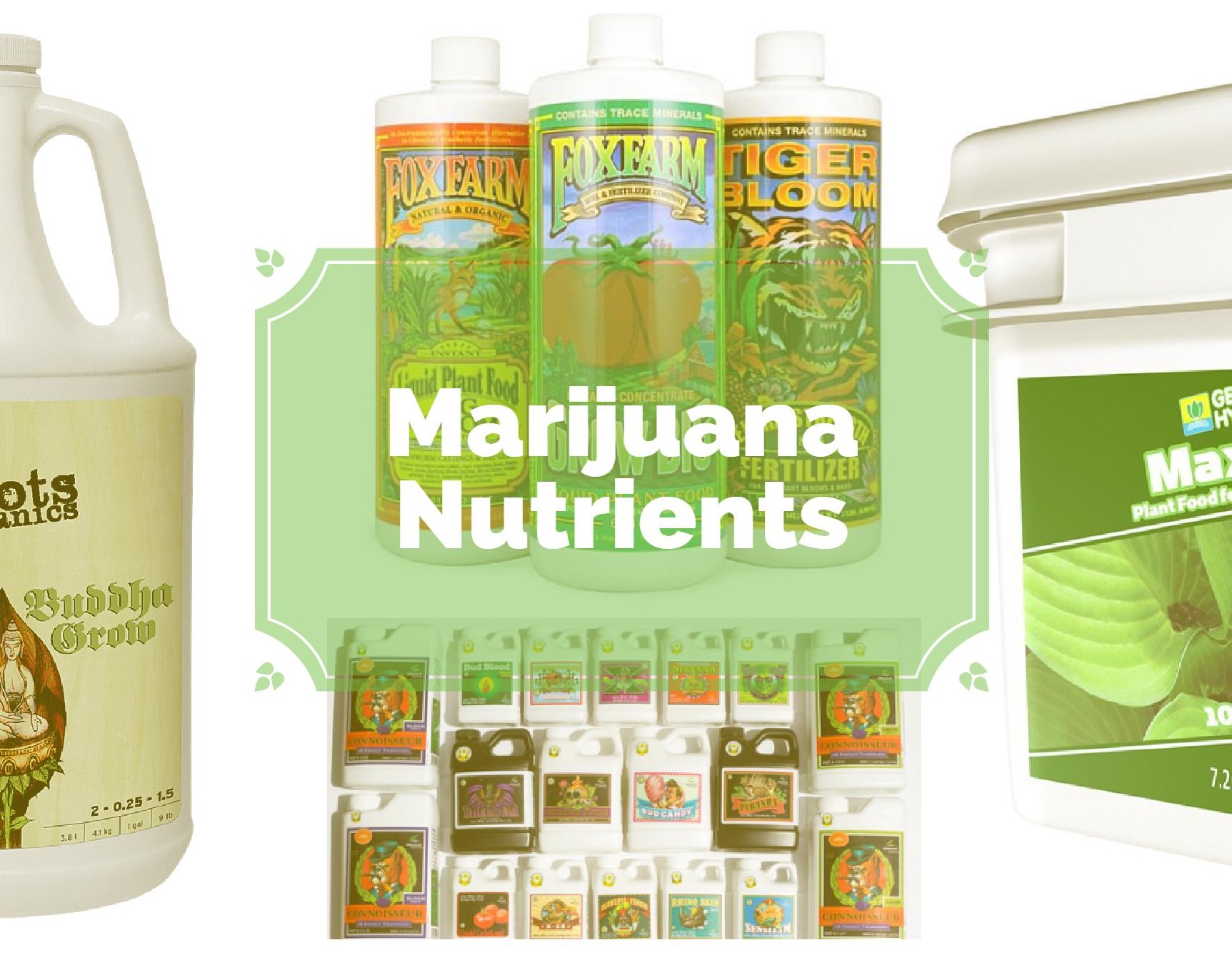 What are the best cannabis nutrient brands? %%page%%