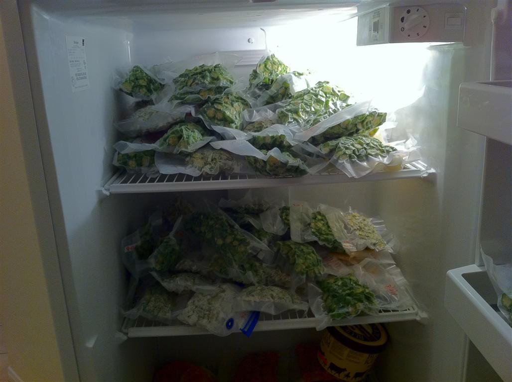 Can you freeze weed? | MSNL Seeds.com Blog