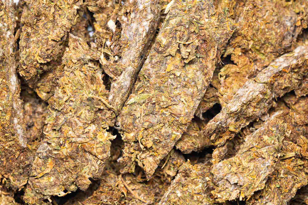 Does weed expire - How to spot bad weed %%page%% - MSNL Seeds.com Blog